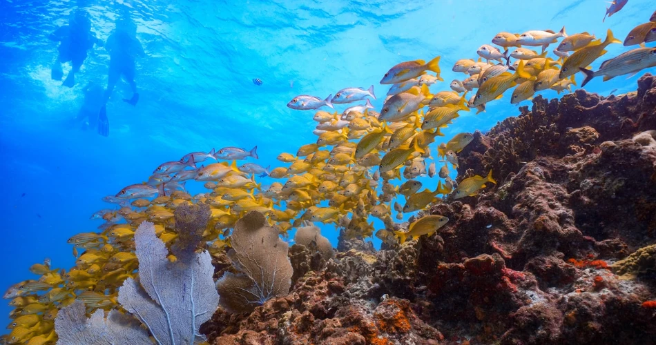 Cancun’s underwater museum